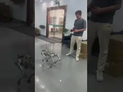China Intelligent Robot Dog With 2D LiDAR L1 Automatic Telescopic Handle Strap For Autonomous Navigation And Mapping for sale