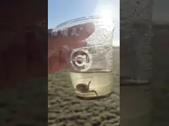 China Ventilation Industrial Butterfly Valve Stainless Steel Large Diameter DN500 for sale