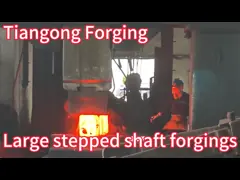 China Hydropower Spindle Forged Shaft 42CrMo4 18CrNiMo7-6 Turbine Main Shafts for sale