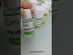 China Premium Cedar Forest  Fragrance Flavor  For Reed Sticks & Diffuser  Long-lasting Scents for sale