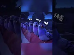 Plastic box for vegetables