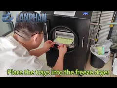 中国 0.5m2 リモコン 果物 野菜 肉 家庭用冷凍乾燥機 WiFi機能 販売のため