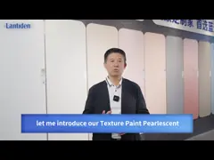 Texture Wall Paint-Pearlescent