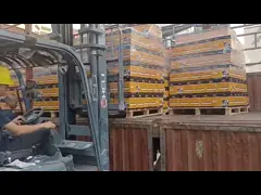 Cina Adesivo siliconico bianco antimuffa persistente per vetro, resistente alla muffa a lunga durata in vendita