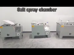 Cina 1- 220V Standard Electronic Salt Spray Corrosion Test Machine For Lab Equipment Experiment in vendita