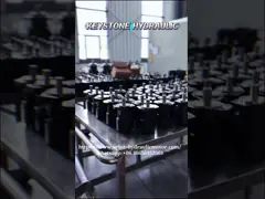 China 580N  Eaton White Hydraulic Wheel Motor Pressure 8Mpa 20Mpa High Torque for sale