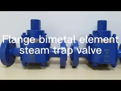 Steam Trap