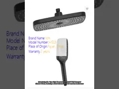 China High Pressure Hand Held Wall Mounted Shower Head Polished For Bathroom Rainfall for sale