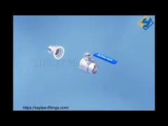 Stainless Steel Valve Ball Valve with Female x Male Threads FxF Ball Valve
