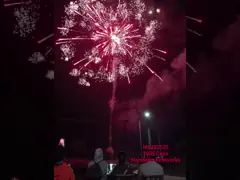 2025 Chinese Factory 100 Shots Paper Cake Fireworks FAFBWL Wholesale Pyrotechnics New Fireworks