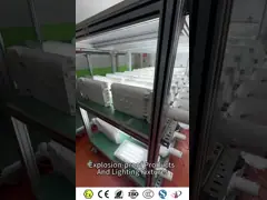 Inside Our Explosion-Proof Lighting Workshop – 2025 Latest Video