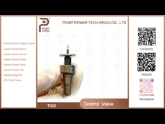 China Control Valve Diesel Valve T625 For Injector 0445110522 / 523 for sale