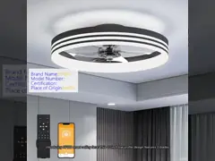 China Wholesale   20 Inch 5 Blades 6 Wind Speeds Smart Low Profile Ceiling Fan Lights Flush Mount With APP Remote for Bedroom Living Room for sale