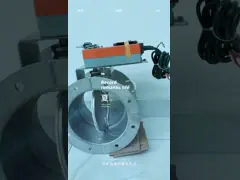 Butterfly Valve