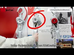 Mechanical Brake Lever Hoist for and Controlled Lifting in Industrial Settings