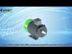 Low Rpm Permanent Magnet Generator Customized 5kw 10kw 50kw 200kw with 3 Years Warranty
