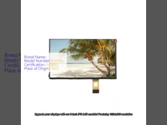 1024x600 Resolution IPS TFT Panel 500nits LVDS Screen 9 Inch