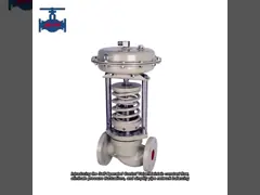 valvola di regolazione Auto-azionata