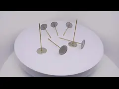 China Galvanized Steel Insulation Anchor Pins With Round Self Locking Washer Free Sample for sale