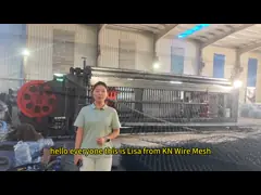 Hot Dipped Galvanized Gabion Box 2.0-4.0mm Wire Double Twist