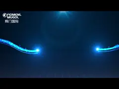 Guangdong Federal-Mogul Industrial Co., Ltd.