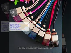 中国 8ml 10ml 12ml フローストした自動車ディフューザー 香水ボトル 販売のため