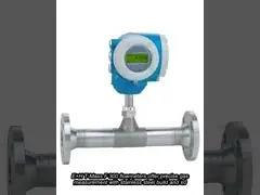 China E+H Vortex Flowmeters Prowirl R 200 7r2csm/7r2csn, Thermal Mass Flowmeters for sale