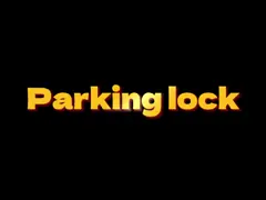 China Parking Lock According To Customer Needs To Add 485 Wired Control Function for sale
