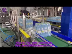 2006 V7 Servo Column Palletizing Machine