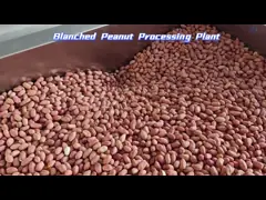 500kg/h Blanched Peanut Production Line 98% Blanching Rate