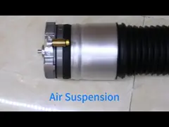 Air Shock Absorber-31658904
