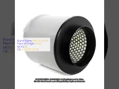 China LR002338 Engine Parts Oil Filter for LAND ROVER RANGE ROVER III (L322), RANGE ROVER SPORT I (L320) for sale