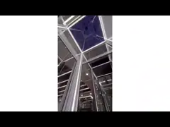 Platform traction home elevator