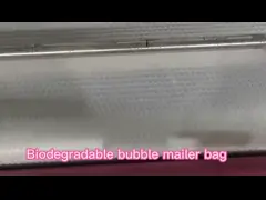 China Co-Extruded Thickened Padded Envelopes Bubble Package Bag For Bubble Mailing Bag for sale