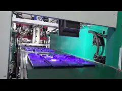 China Purple light mouthed custom plastic tray mushroom plastic container packaging tray for sale