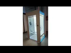 Auto door home traction elevator