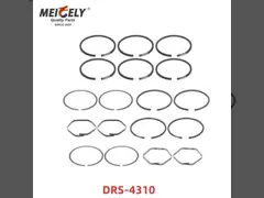 China High-Performance Piston Ring DRS-4310 Durable Replacement Component For MACK TRUCKS for sale