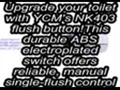 Toilet accessory lift switch - Old toilet button top lift ABS electroplated switch