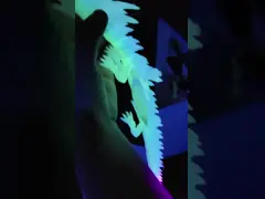 Glow Rainbow Filament