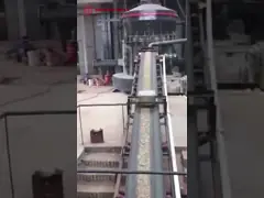 Cina Rullo e manica verticali della macchina del mulino del piatto del rullo in vendita