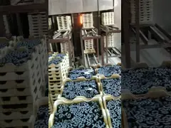 China Rohs ISO9001 Green color factory price MnZn PC 40 PC44 material 85X55X20mm toroidal Transformer core ferrite core for sale