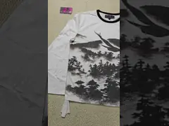 Custom Graphic Printing Crewneck Drop Shoulder Oversized Heavyweight 100% Cotton Long Sleeve t Shirt