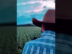 중국 자율적으로 뿌리거나 심거나 들어올리는 ZAi 80kg 중량 스프레이어 드론 판매용