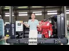 China Protable Small Type Diesel Generator Set for Charging Weichai diesel generator sets for sale