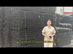 Hot Dipped Galvanized Gabion Box 2.0-4.0mm Wire Double Twist Mesh