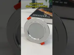 LED Down Light