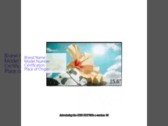 Custom 15.6 Inch  IPS TFT LCD Display Module 1920*1080 Resolution With Touch Screen