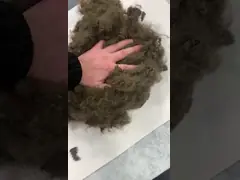 China Natural Color 15D*64mm Recycled Custom Multicolor Polyester Fiber For Yarn for sale