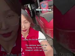 China Customized Size 2x2 Triangle Fence Panel Welded Wire Mesh White Green Color for sale