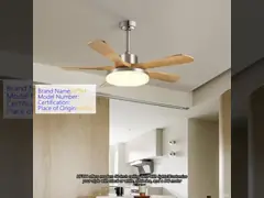 China wholesale, manufacturer, factory，batch,tailered, customized     56-Inch Modern Ceiling Fan With Light 5 Blades Black / White For Living Room Remote Control Iron Body DC Motor for sale